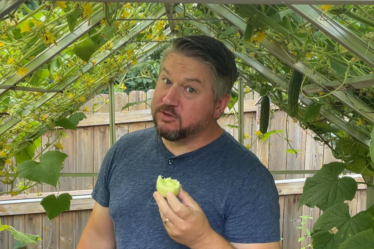 Shane Michel – Affordable Websites for Small Businesses